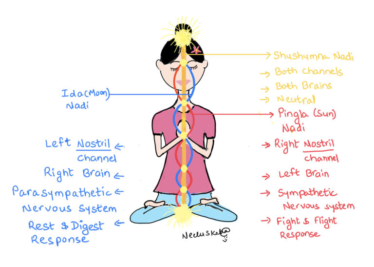 Exploring the World of Nadis - the invisible conduits of Prana